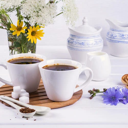 Chicory Coffee: The Ultimate Guide | All You Need To Know - The Coffee Guru