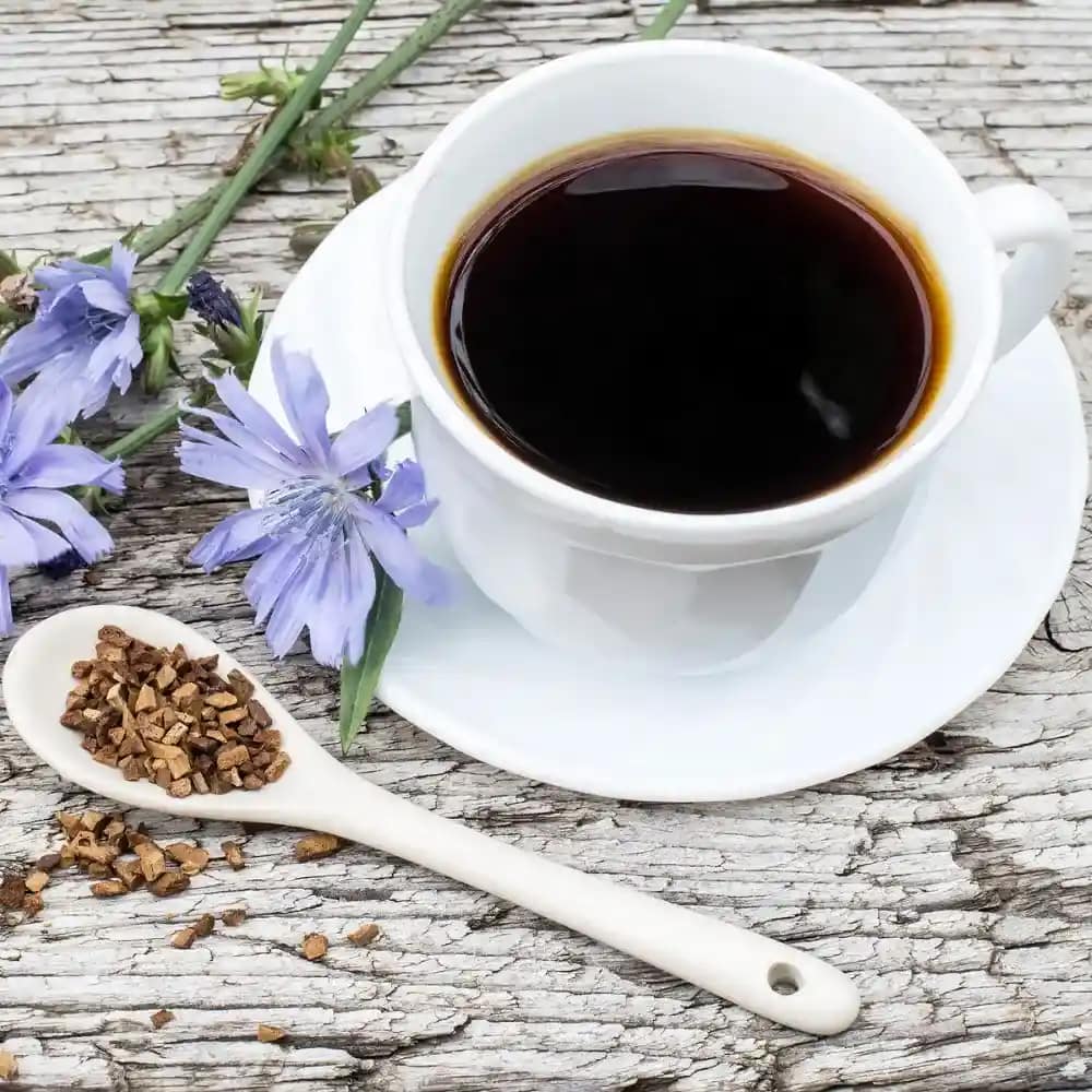 Chicory Coffee: The Ultimate Guide | All You Need To Know - The Coffee Guru